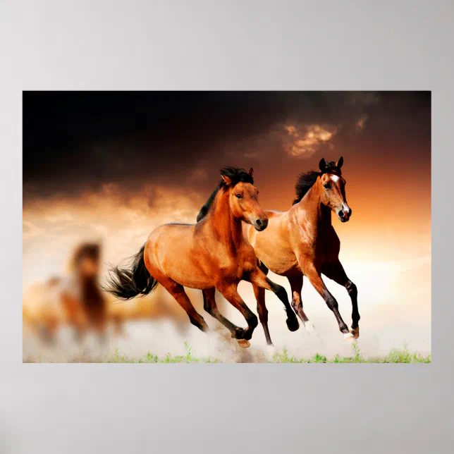 Imposing Wild Brown Horses Poster | Zazzle