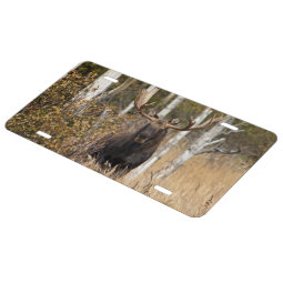 Impressive Bull Moose License Plate | Zazzle