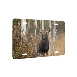 Impressive Bull Moose License Plate | Zazzle