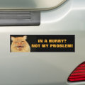 In A Hurry? Not My Problem Cat Meme Bumper Sticker | Zazzle