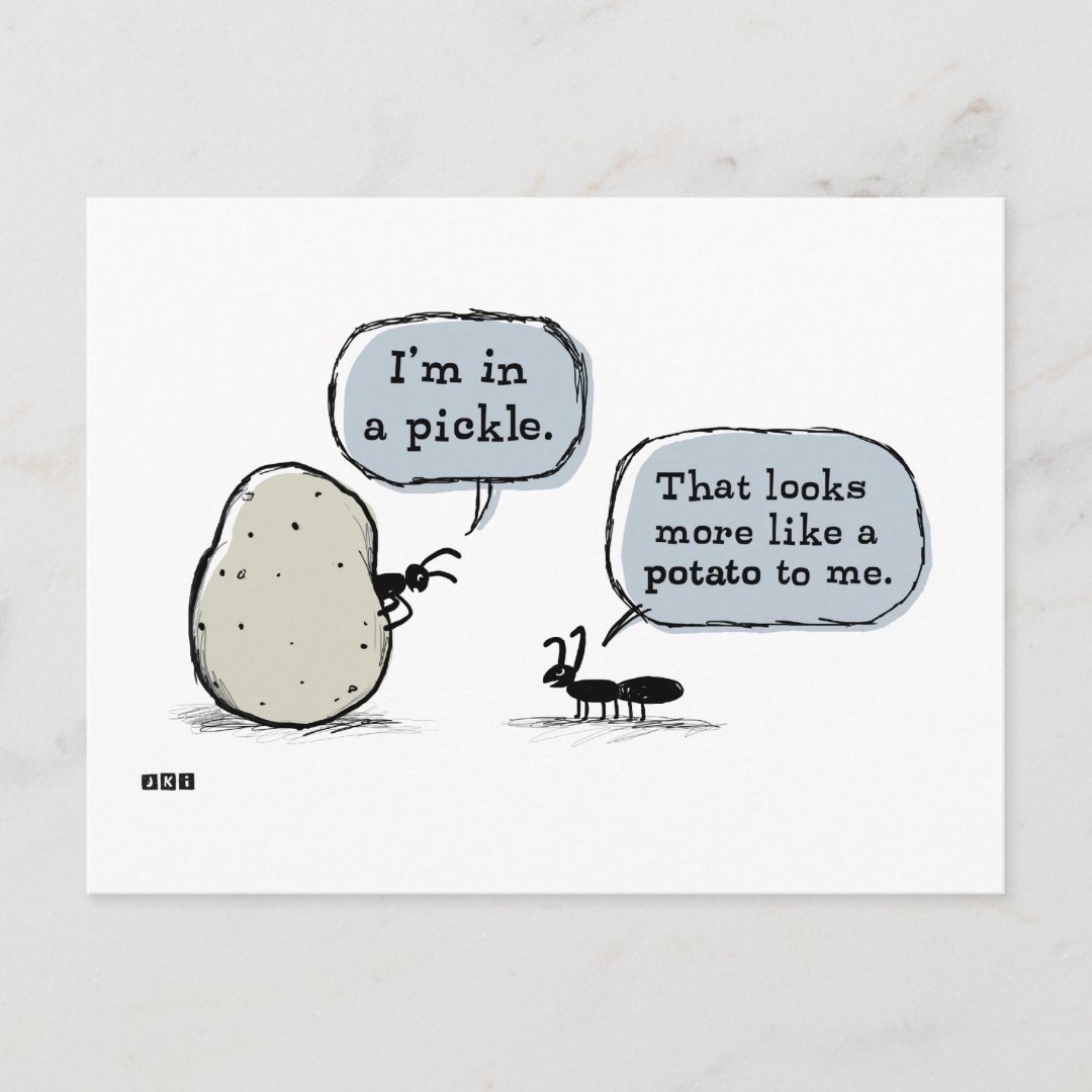 In A Pickle Postcard | Zazzle