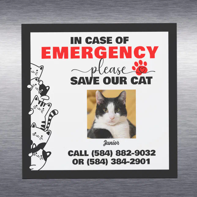 In Case of Emergency Save Cat With Custom Photo Car Magnet | Zazzle