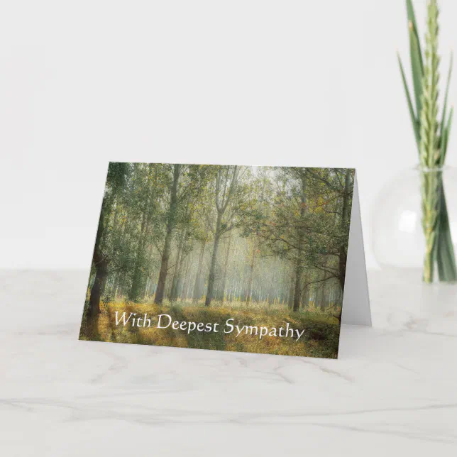 In Deepest Sympathy Beautiful Autumn Fall Scene Card | Zazzle