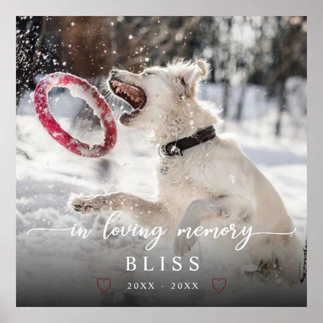 In Loving Memory Calligraphy Pet Photo Monogram Poster | Zazzle