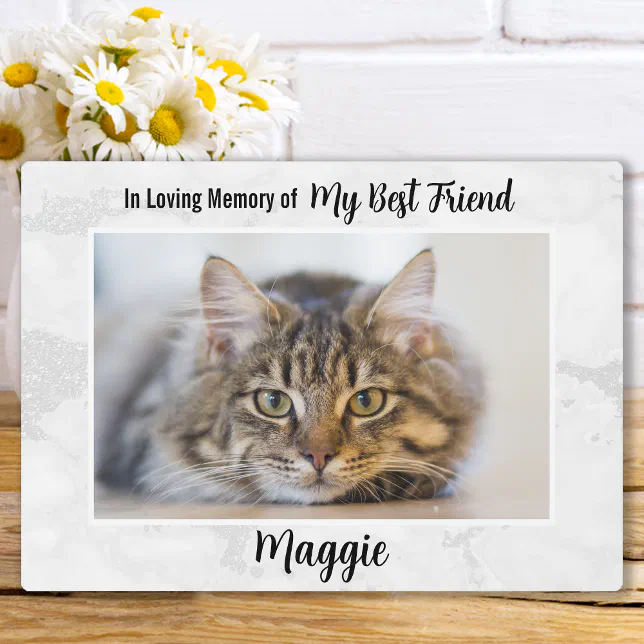 In Loving Memory - Cat Memorial Pet Loss Sympathy Plaque | Zazzle