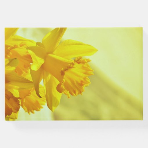 In Loving Memory | Daffodil Funeral Memorial Guest Book | Zazzle