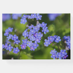 In Loving Memory | Forget-Me-Not Funeral Memorial Guest Book | Zazzle