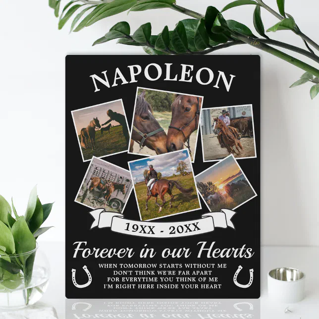 In Loving Memory Horse Plaque | Zazzle