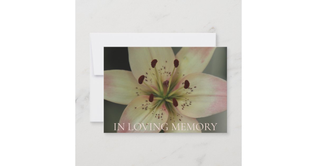 In Loving Memory Memorial Service Invitation | Zazzle