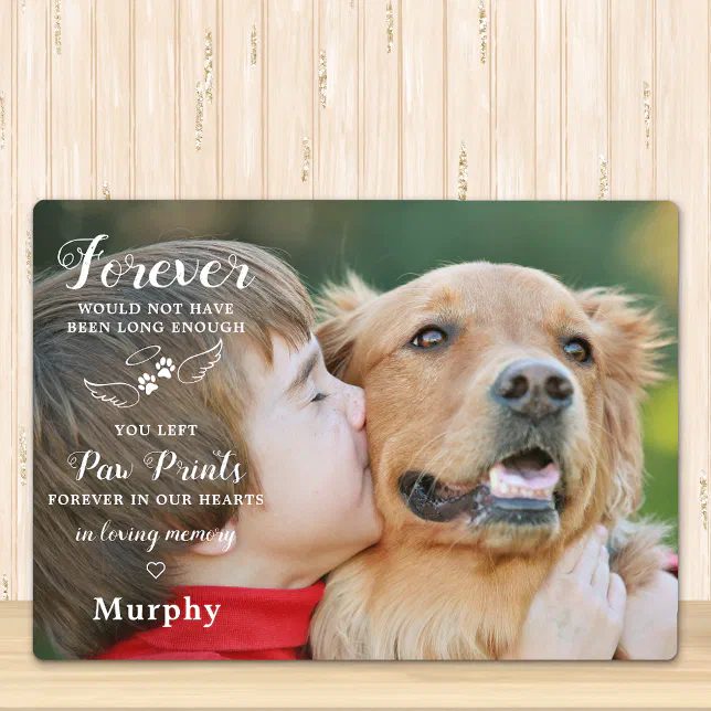 In Loving Memory Modern Custom Photo Pet Memorial Plaque | Zazzle