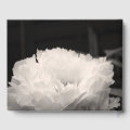 In Loving Memory Peony Funeral Guest Book 1 | Zazzle