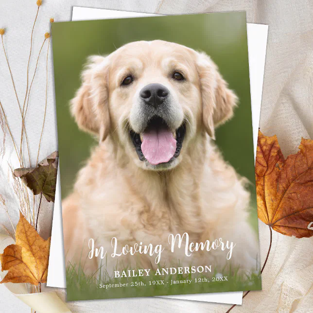 In Loving Memory Pet Memorial Modern Photo Thank You Card | Zazzle