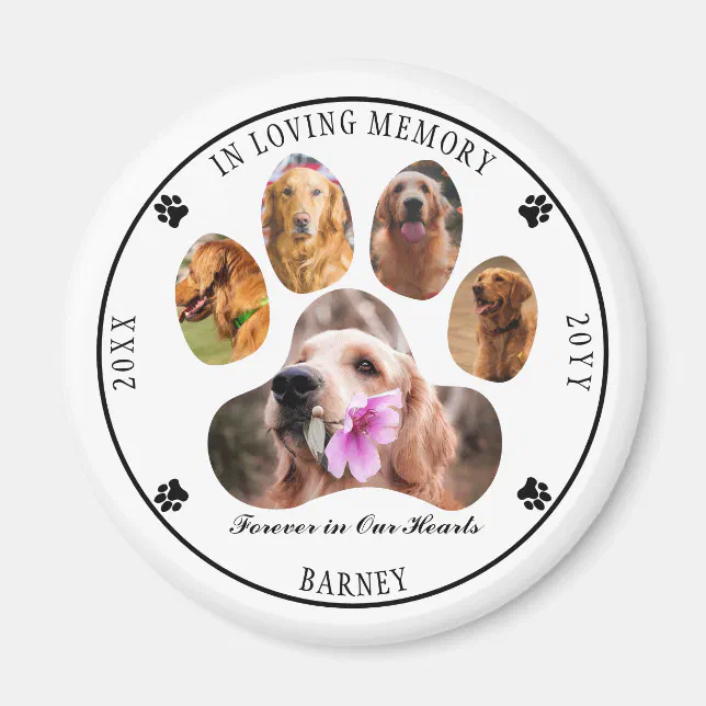 In Loving Memory Photo Pet Memorial - White Magnet | Zazzle
