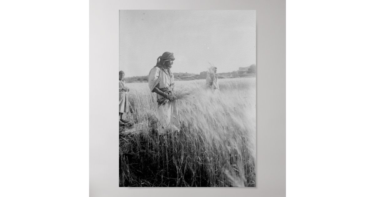 In the fields of Boaz in Bethlehem Poster | Zazzle