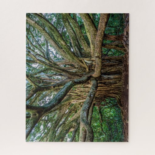 Incredible Banyan Tree Jigsaw Puzzle | Zazzle