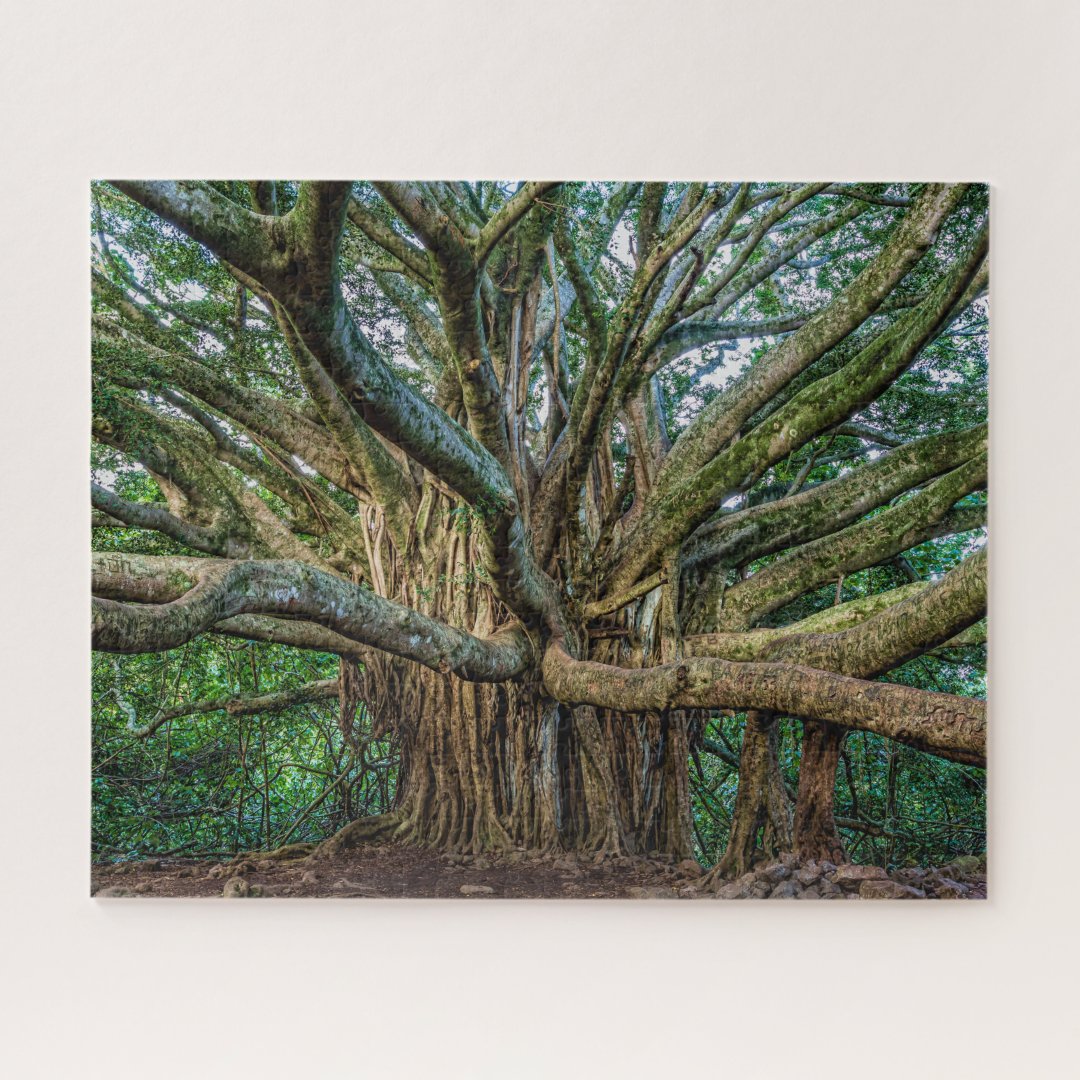 Incredible Banyan Tree Jigsaw Puzzle | Zazzle