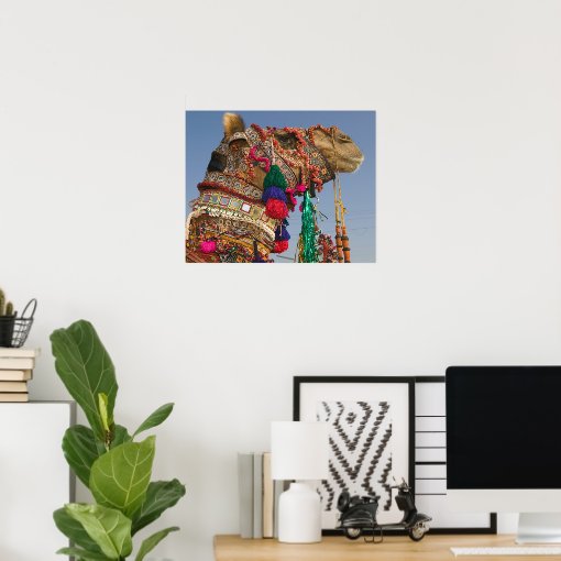 INDIA, Rajasthan, Pushkar: PUSHKAR CAMEL FAIR, Poster | Zazzle