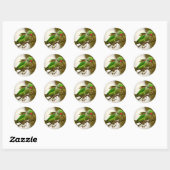 Indian ring-neck Parrot Classic Round Sticker | Zazzle