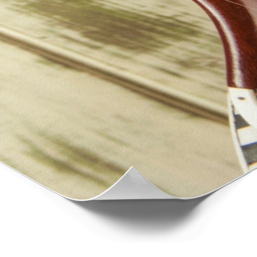 Indian Sitar String Instrument Poster | Zazzle