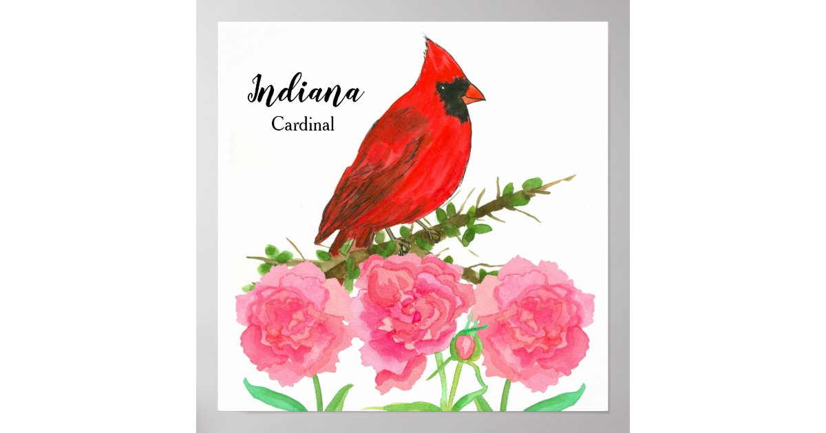 Indiana Red Cardinal Peonies Hoosiers Poster | Zazzle
