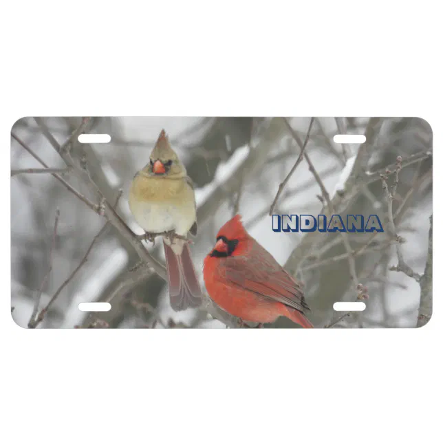 Indiana State Bird Cardinal License Plate | Zazzle