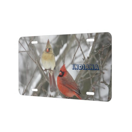 Indiana State Bird Cardinal License Plate | Zazzle