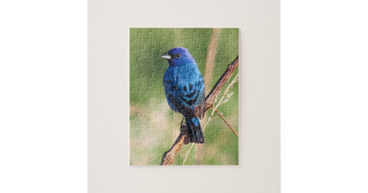 Indigo Bunting Jigsaw Puzzle | Zazzle
