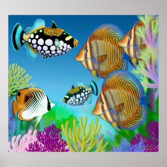 Indo-Pacific Coral Reef Fish Poster | Zazzle.com