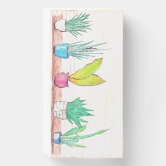 Indoor House Plants Watercolour Art Wooden Box Sign | Zazzle
