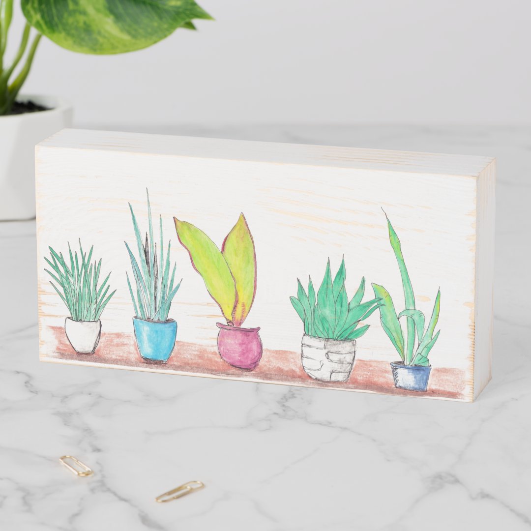 Indoor House Plants Watercolour Art Wooden Box Sign | Zazzle