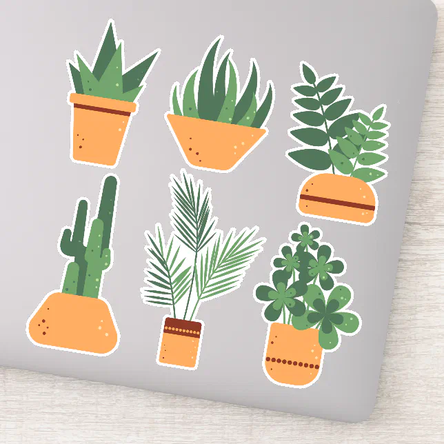 Indoor plants in pots. Botanical set of Sticker | Zazzle