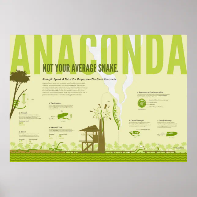 Infographic: Anaconda Poster | Zazzle
