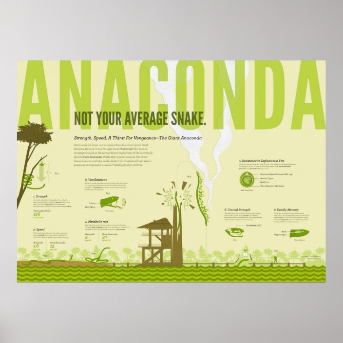 Infographic: Anaconda Poster | Zazzle.com