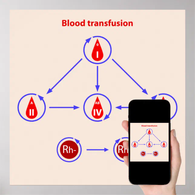 infographic blood transfer poster | Zazzle