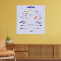 infographic kitchen knives poster | Zazzle
