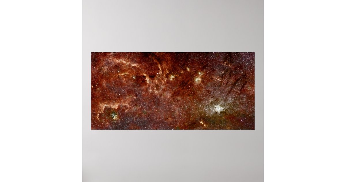 Infrared image poster | Zazzle