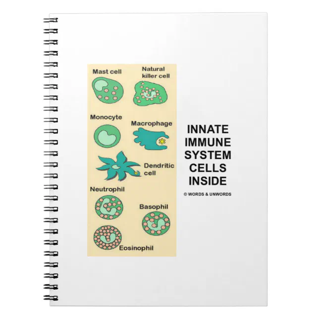 Innate Immune System Cells Inside Immunology Notebook | Zazzle