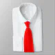 Insanely Red (The Reddest Red) CUSTOM Neck Tie | Zazzle