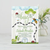 Insect Bug Baby Shower Invitation Invite | Zazzle