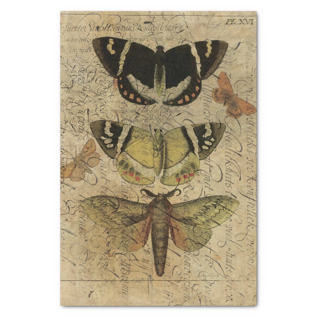 Insect Collage No.501 Tissue Paper | Zazzle