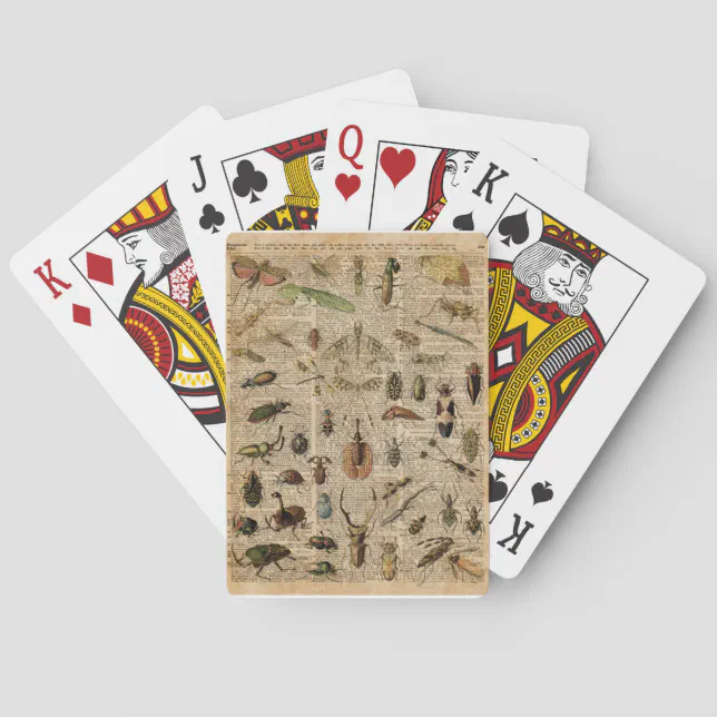 Insects Bugs Vintage Illustration Dictionary Art Poker Cards | Zazzle