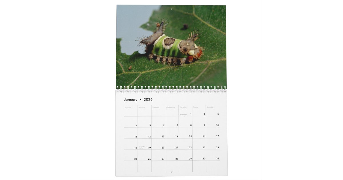 Insects Calendar | Zazzle