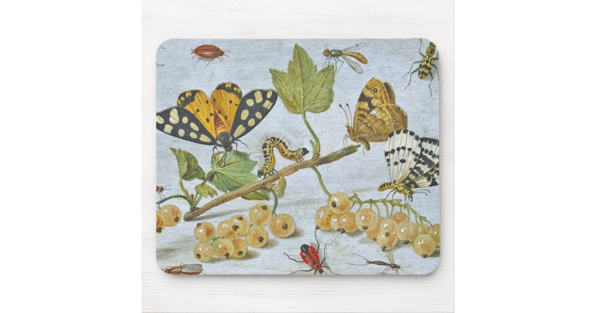 Insects Crawling Mouse Pad | Zazzle