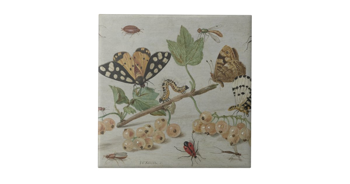Insects & Fruits Ceramic Tile | Zazzle