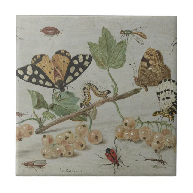 Insects & Fruits Ceramic Tile | Zazzle