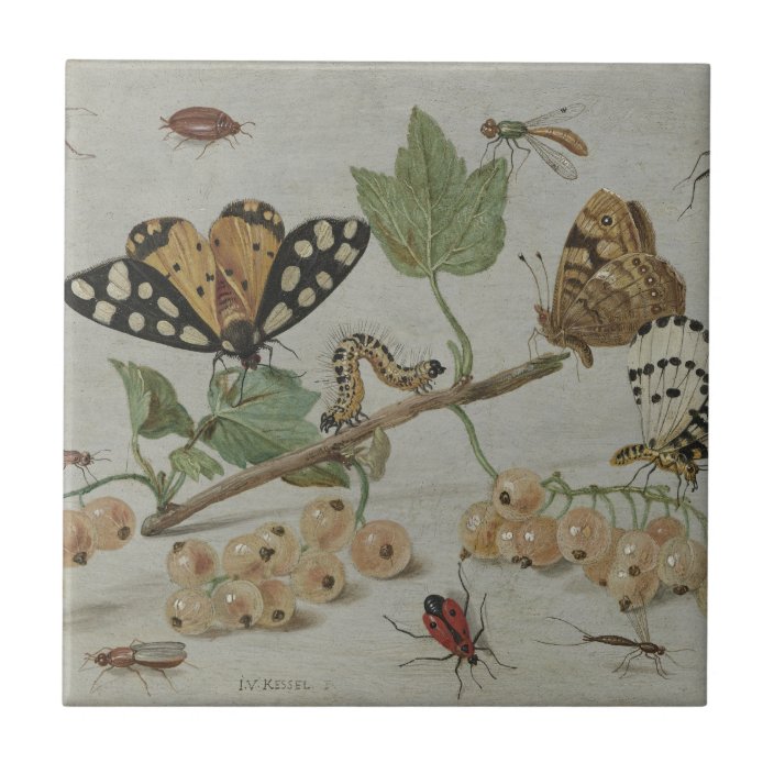 Insects & Fruits Ceramic Tile | Zazzle.com