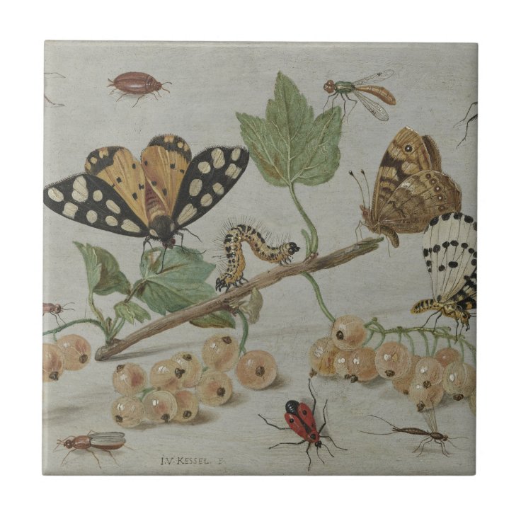 Insects & Fruits Ceramic Tile | Zazzle