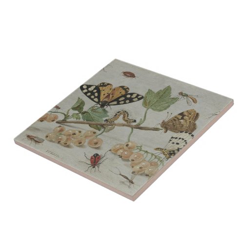 Insects & Fruits Ceramic Tile | Zazzle