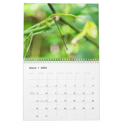 Insects: Great and Small Calendar | Zazzle