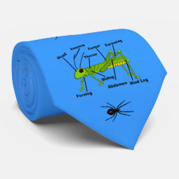Insects Tie for Biology Teachers | Zazzle